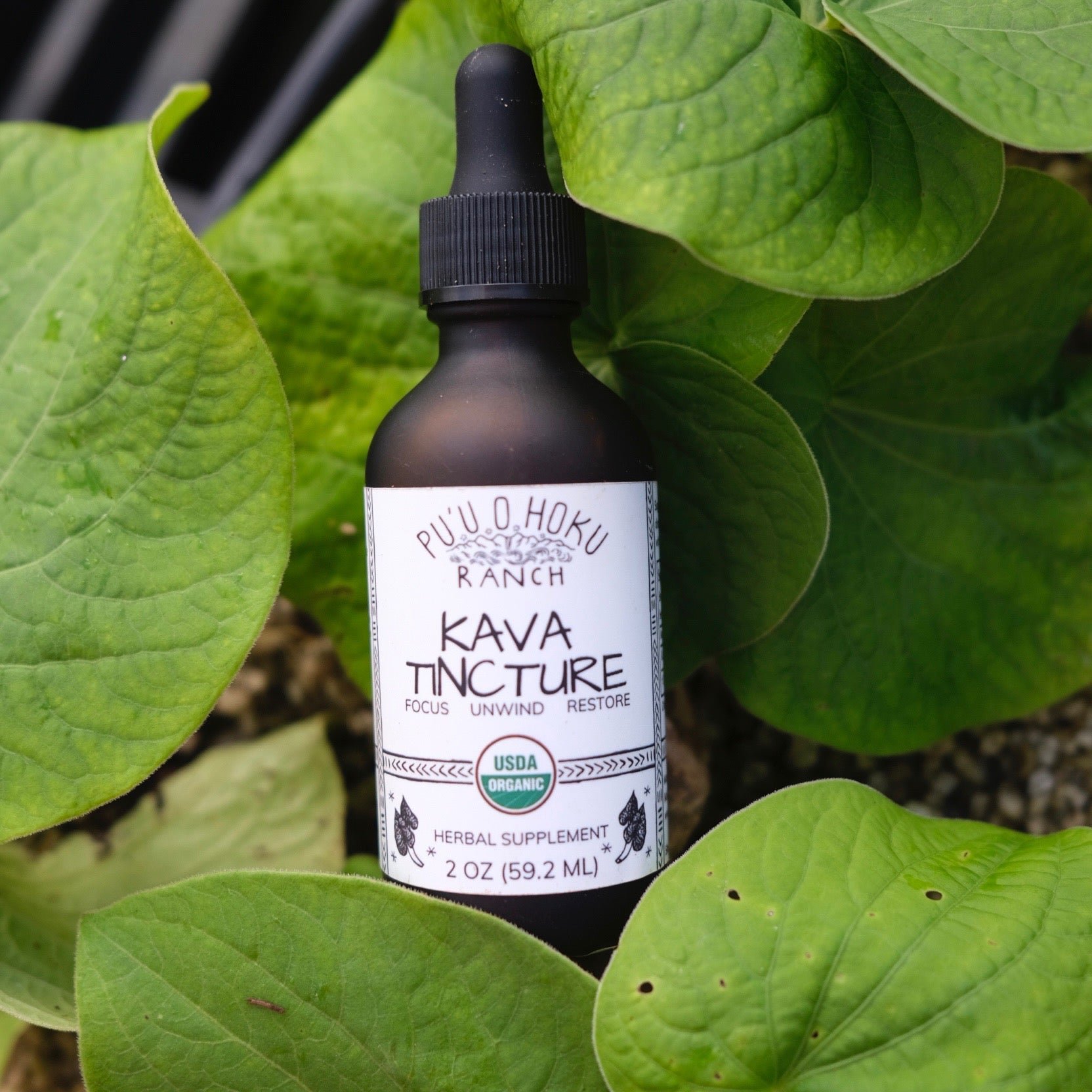 Organic Kava Tincture Herbal Supplement – Pu'u O Hoku Ranch