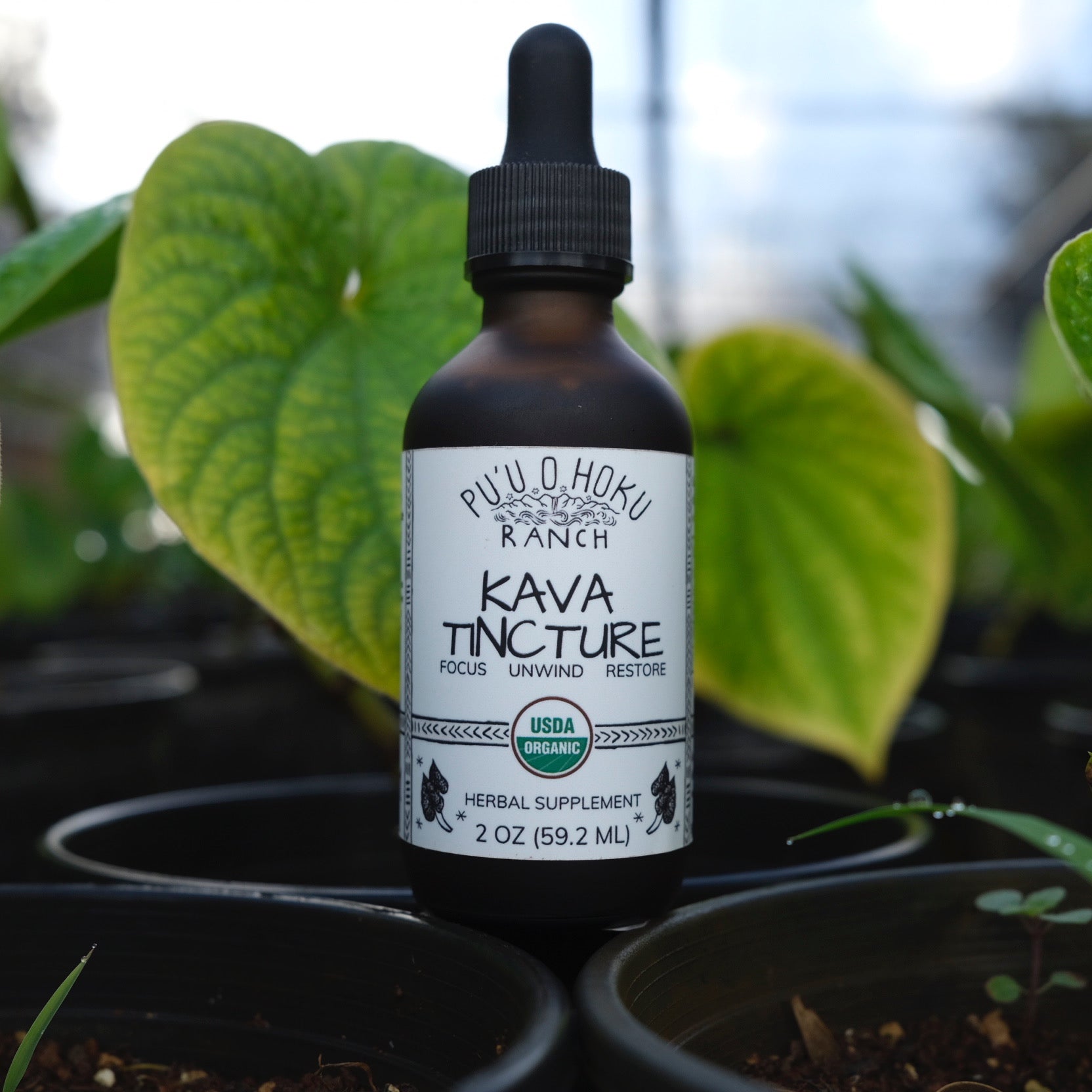 Organic Kava Tincture Herbal Supplement – Pu'u O Hoku Ranch